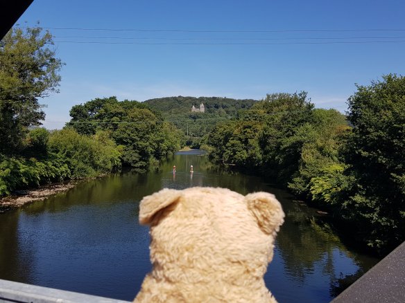 The Taff Trail & Brecon Canal by bicycle pannier. | Horace the ...