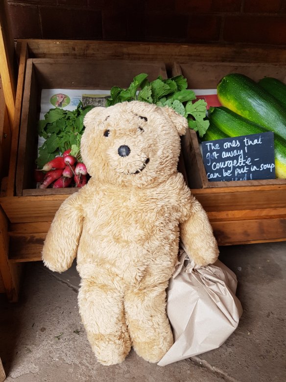 Golden Beetroot from Tyntesfield kitchen garden | Horace the Alresford Bear