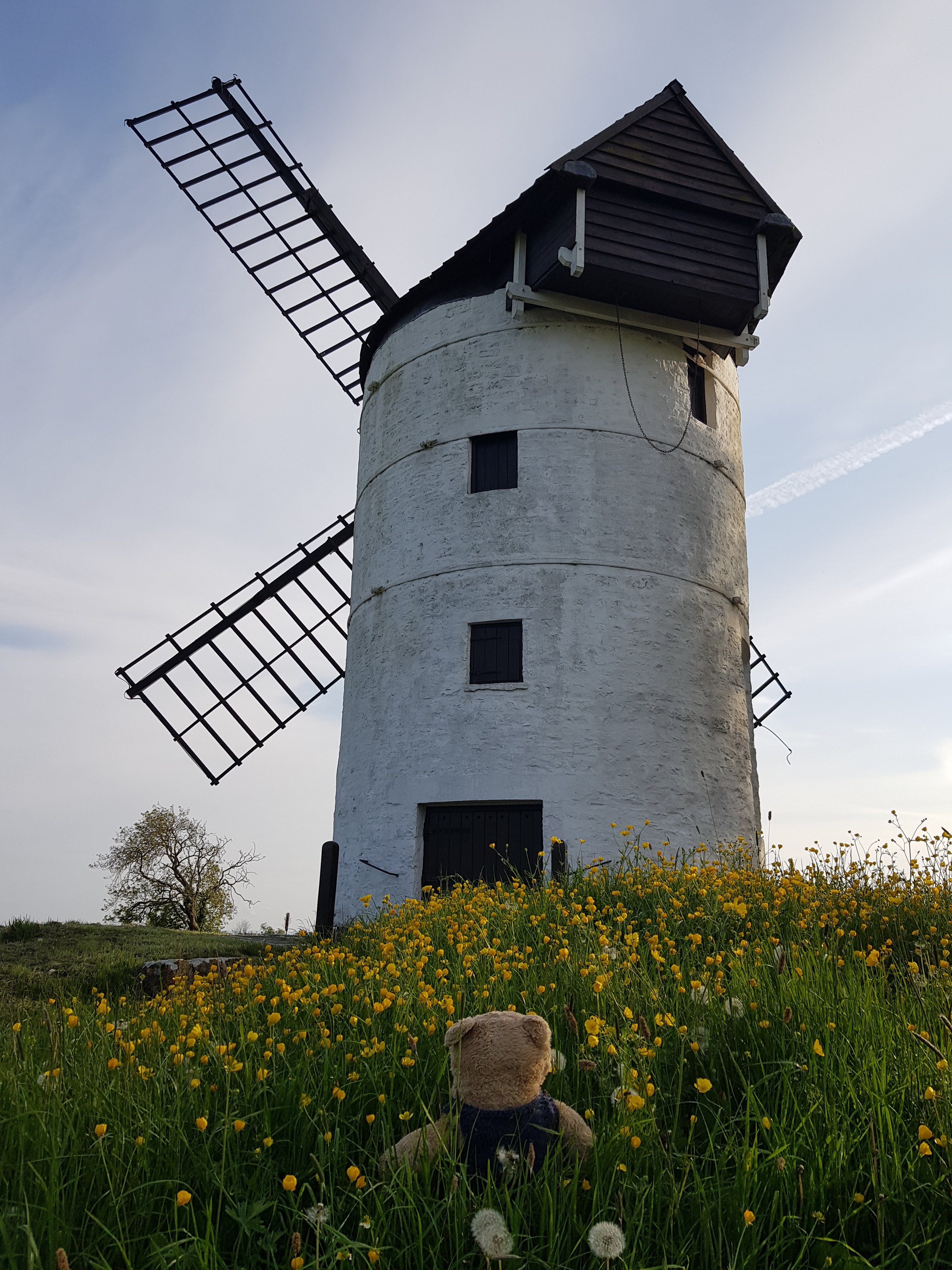 Ashton Windmill | Horace the Alresford Bear