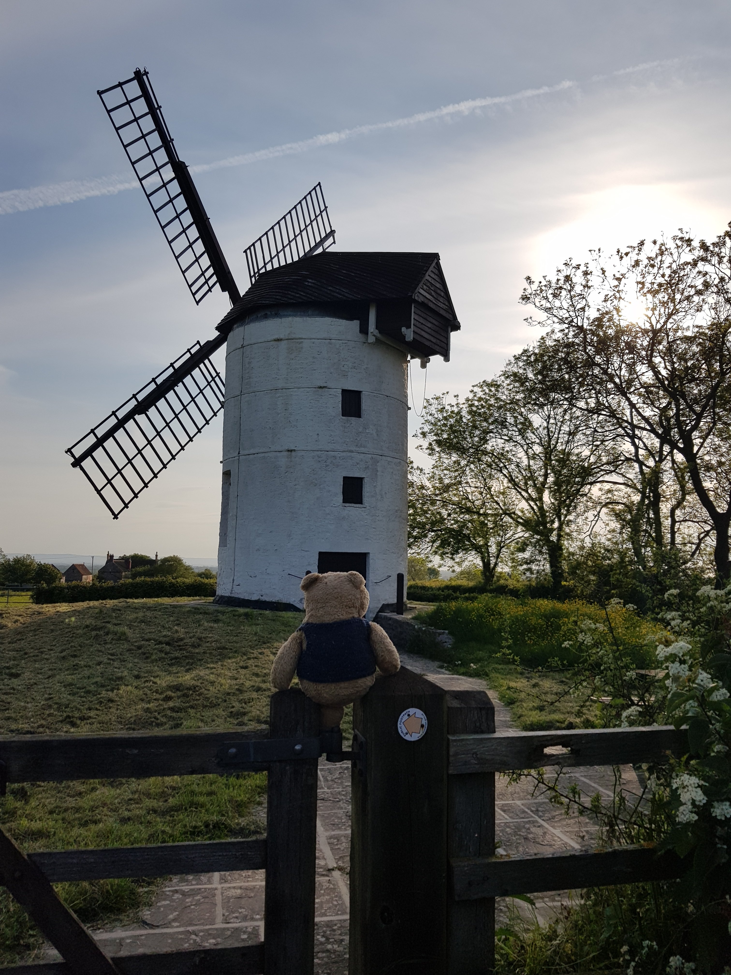 Ashton Windmill | Horace the Alresford Bear