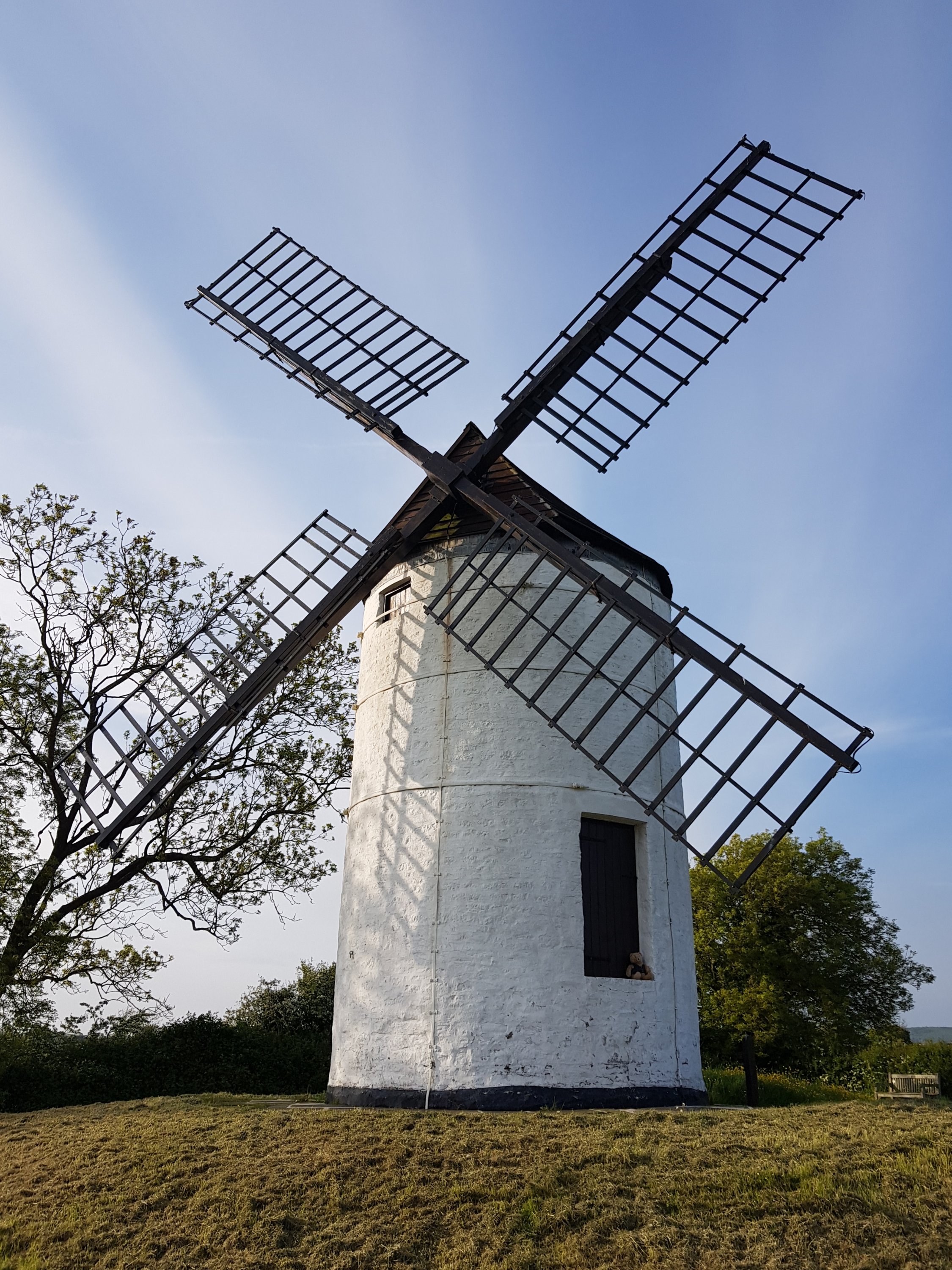 Ashton Windmill | Horace the Alresford Bear