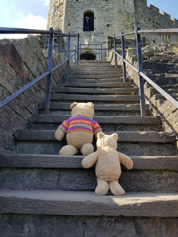 Camping & a visit to Cardiff Castle | Horace the Alresford Bear