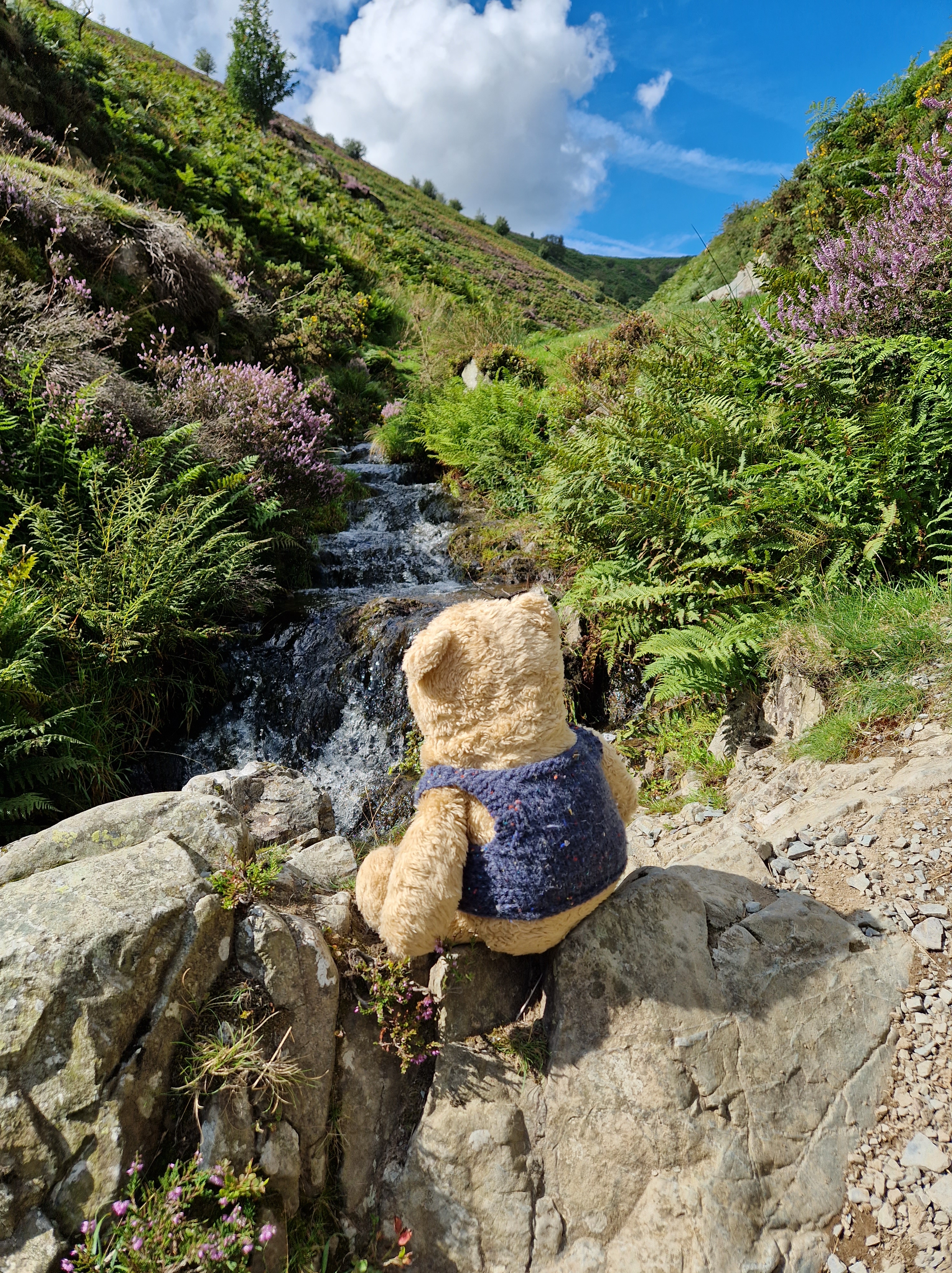 Carding Mill Valley | Horace the Alresford Bear