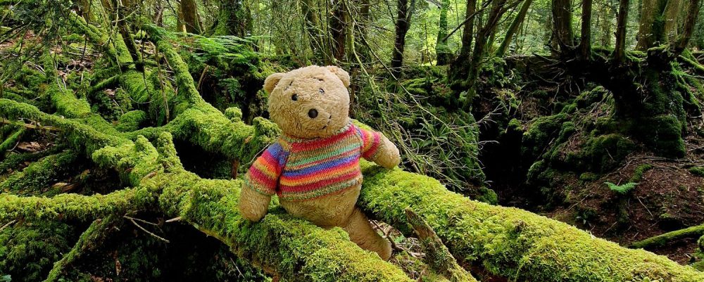Horace the Alresford Bear | Made by Alresford Crafts in the 1970s ...