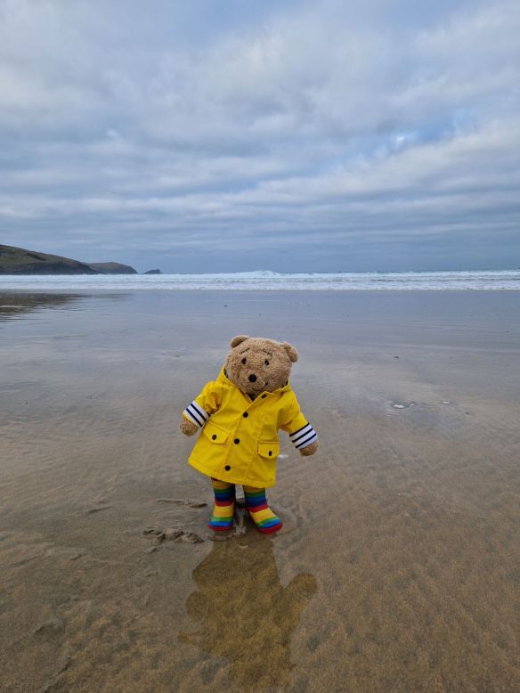 Horace the Alresford Bear | Made by Alresford Crafts in the 1970s ...