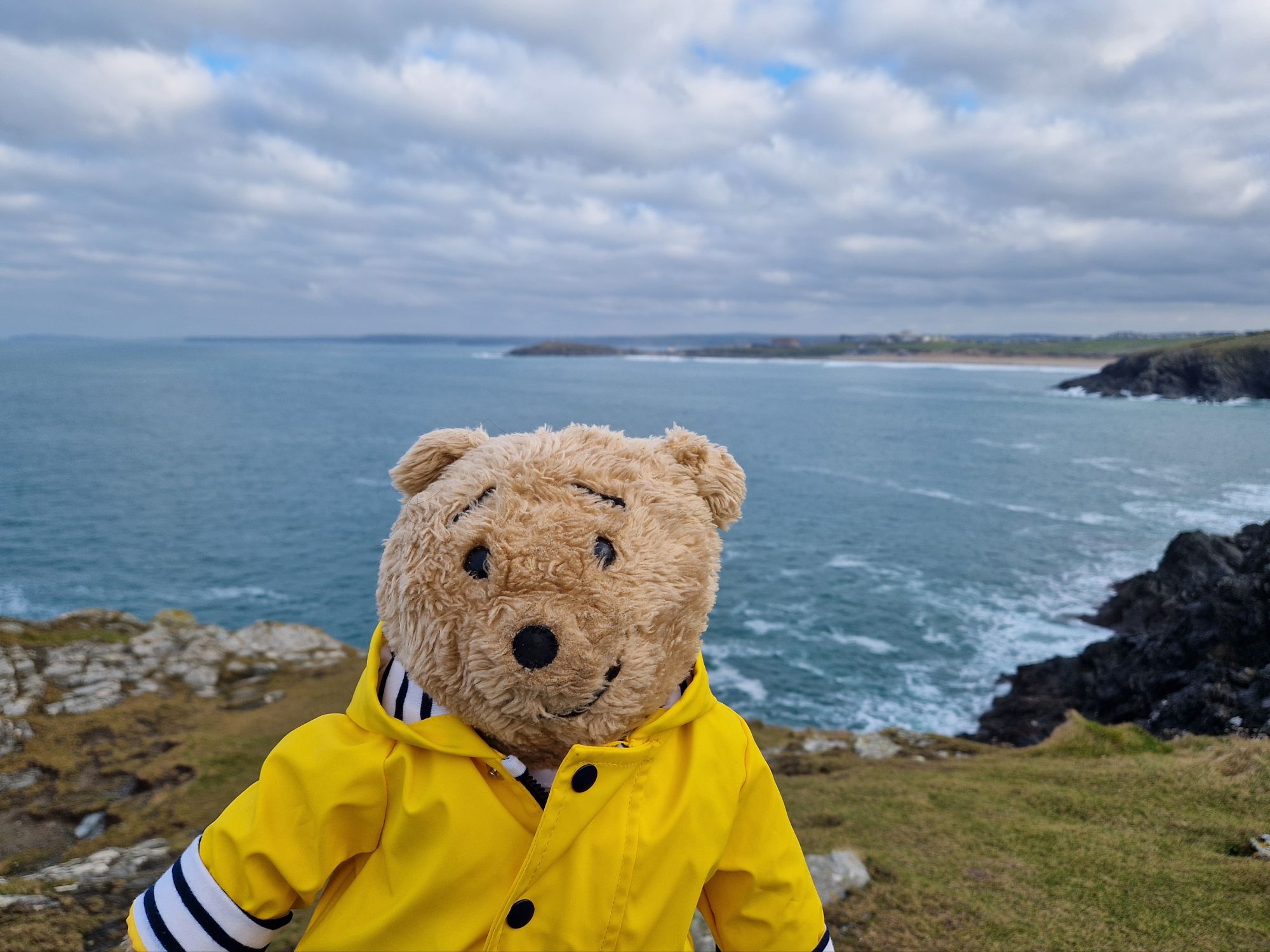 Horace the Alresford Bear | Made by Alresford Crafts in the 1970s ...