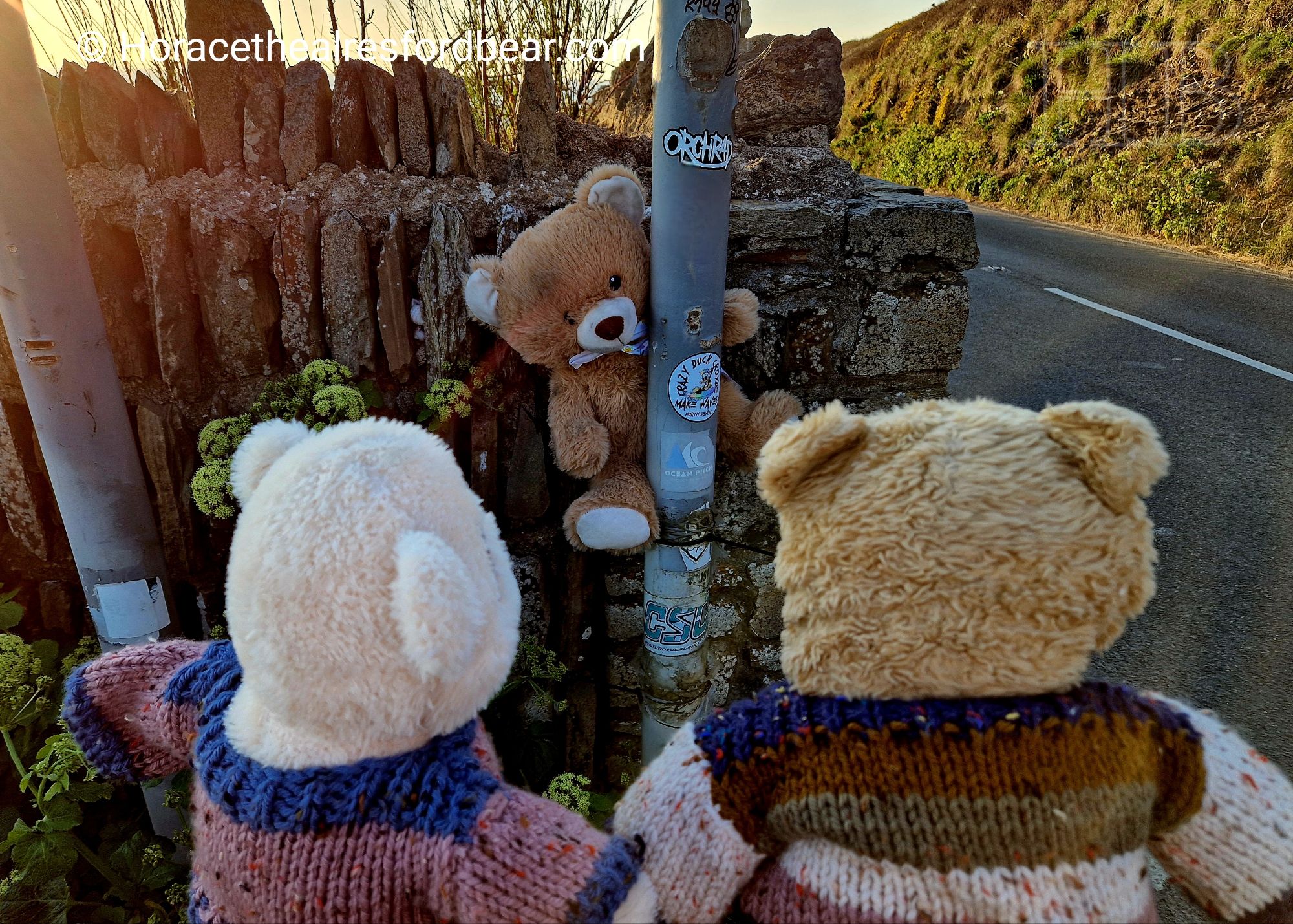 Rescuing Sandy: The Story of a Lost Bear | Horace the Alresford Bear