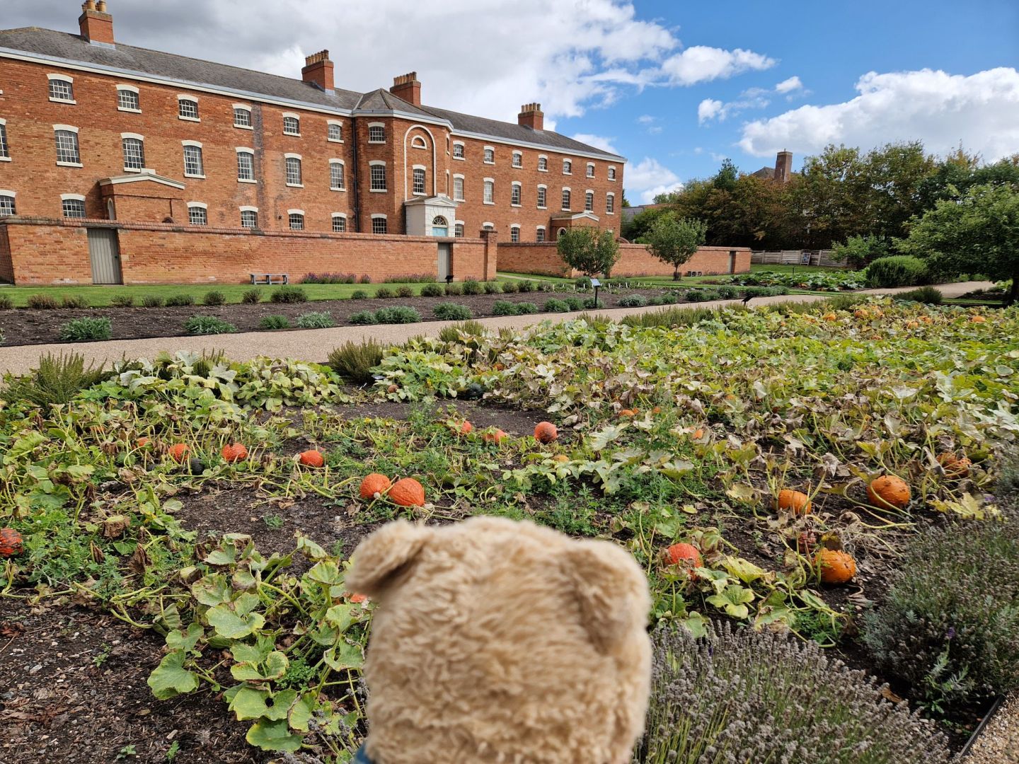 A visit to Southwell Workhouse (National Trust) | Horace the Alresford Bear